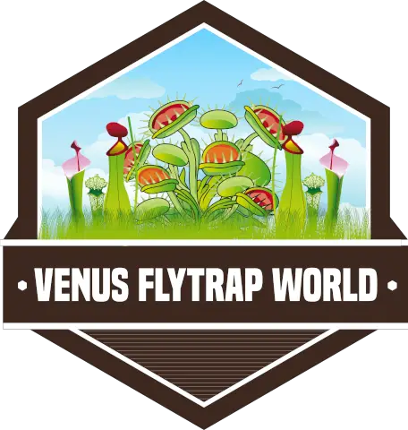 Venus Flytrap Parts with Diagram and Photos – Venus Flytrap World