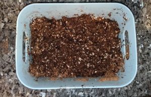 A Complete Pitcher Plant Care Guide (with care sheet) – Venus Flytrap World